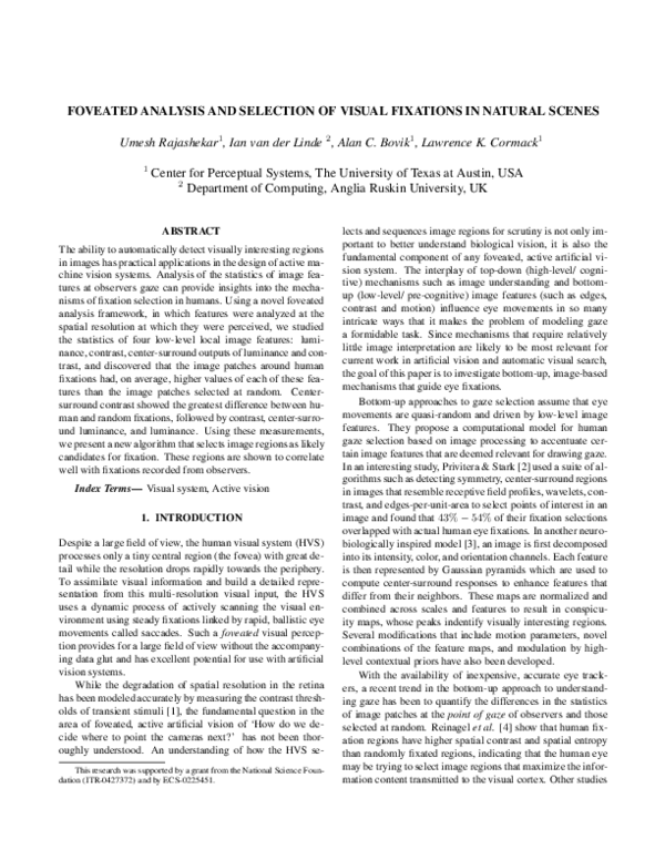 (PDF) Foveated Analysis and Selection of Visual Fixations in Natural Scenes