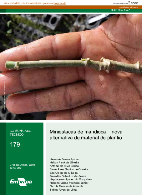 (PDF) Miniestacas de mandioca - nova alternativa de material de plantio | Herminio Souza Rocha ...