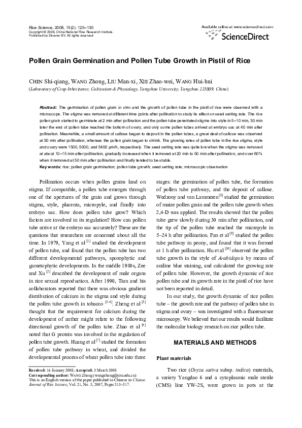 (PDF) Pollen Grain Germination and Pollen Tube Growth in Pistil of Rice