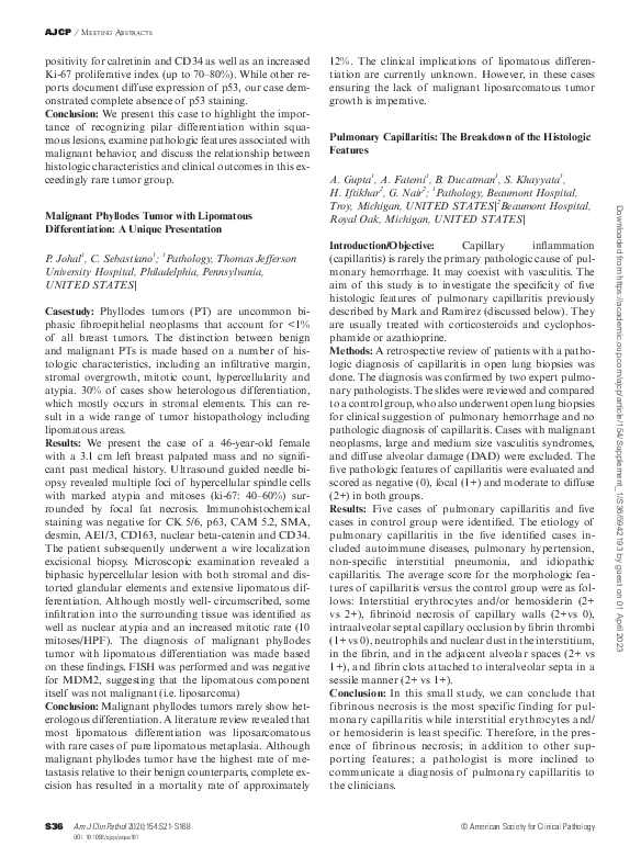 (PDF) Pulmonary Capillaritis: The Breakdown of the Histologic Features