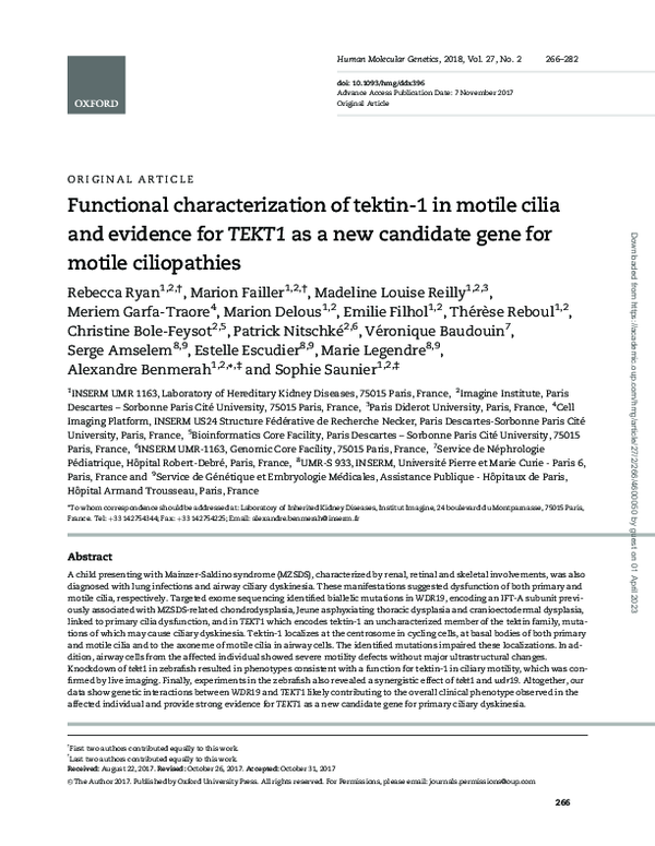 (PDF) Functional characterization of tektin-1 in motile cilia and ...