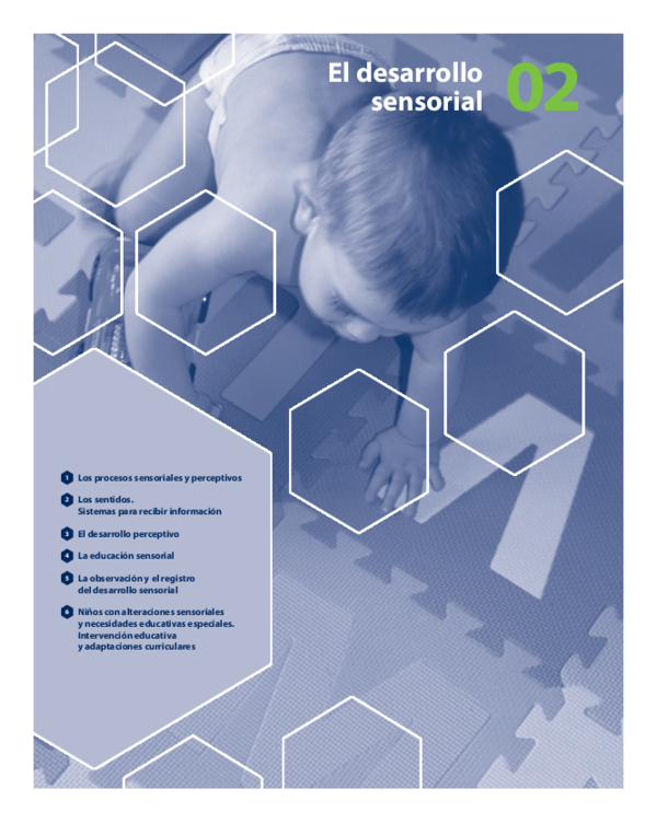 (PDF) DESARROLLO SENSORIAL