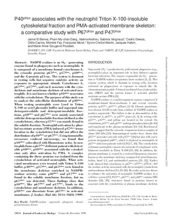 (PDF) P40phox associates with the neutrophil Triton X-100-insoluble ...