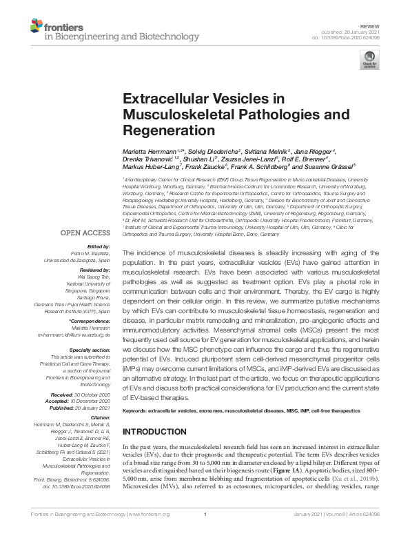 (PDF) Extracellular Vesicles in Musculoskeletal Pathologies and Regeneration
