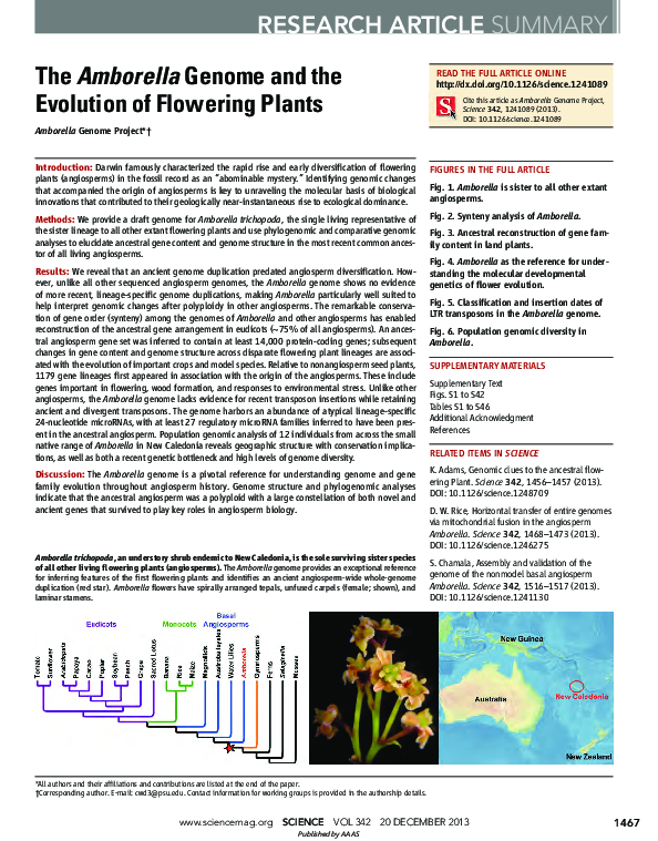 (PDF) The Amborella Genome and the Evolution of Flowering Plants