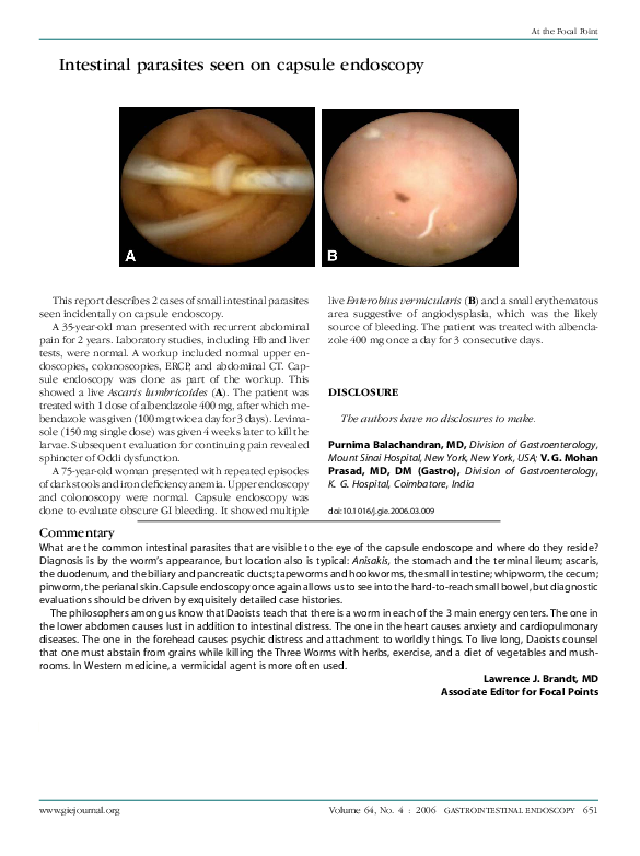 (PDF) Intestinal parasites seen on capsule endoscopy