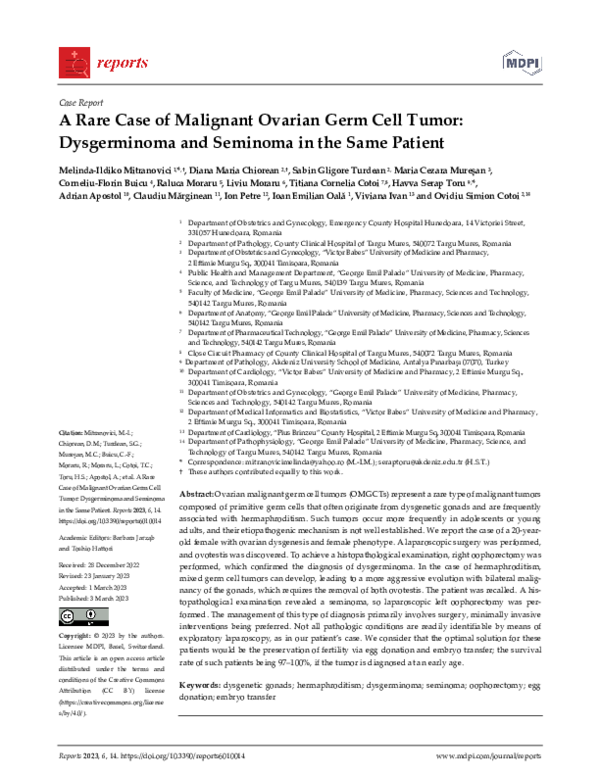 (PDF) A Rare Case of Malignant Ovarian Germ Cell Tumor: Dysgerminoma ...