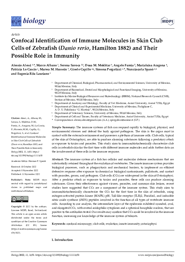 (PDF) Confocal Identification of Immune Molecules in Skin Club Cells of ...