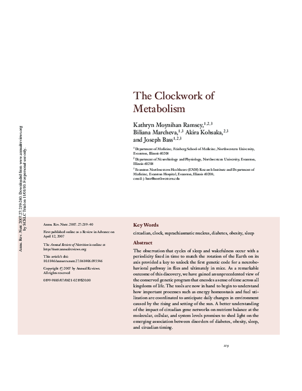 (PDF) The Clockwork of Metabolism