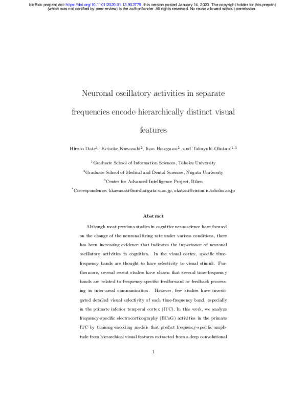 Pdf Neuronal Oscillatory Activities In Separate Frequencies Encode Hierarchically Distinct