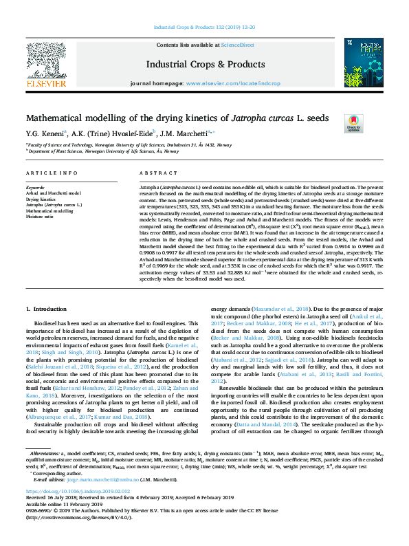 (PDF) Mathematical modelling of the drying kinetics of Jatropha curcas L. seeds