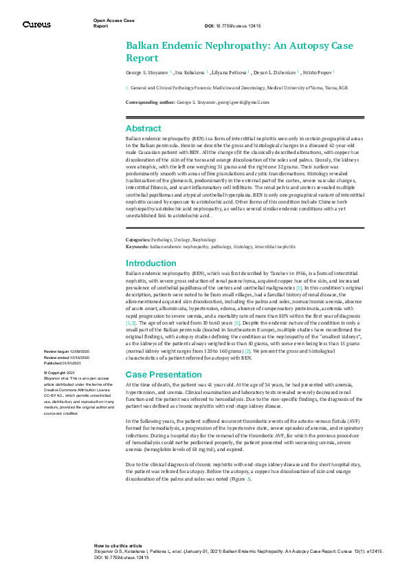 (PDF) Balkan Endemic Nephropathy: An Autopsy Case Report | Hristo Popov ...