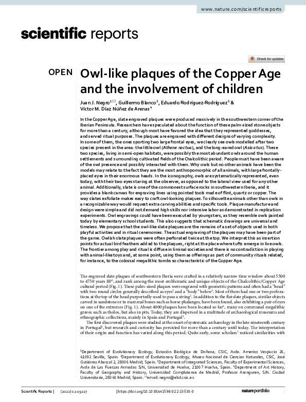 (PDF) Owl-like plaques of the Copper Age and the involvement of children