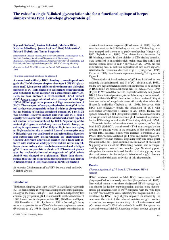 (PDF) The role of a single N-linked glycosylation site for a functional ...