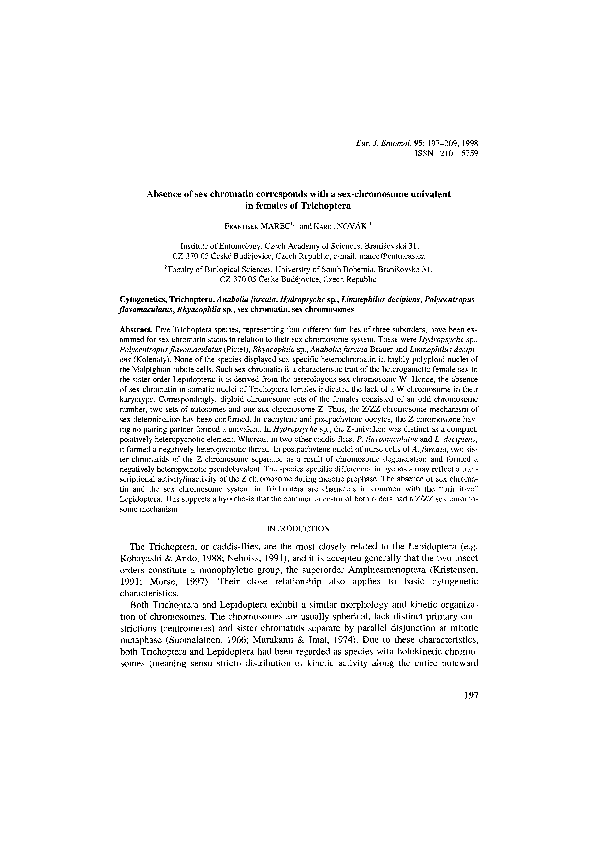 Pdf Absence Of Sex Chromatin Corresponds With A Sex Chromosome Univalent In Females Of Trichoptera
