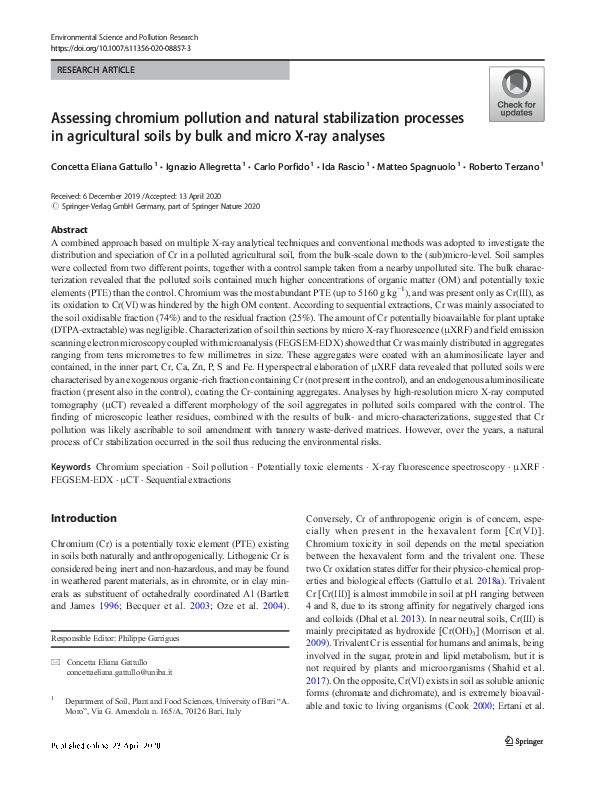 (PDF) Assessing chromium pollution and natural stabilization processes ...