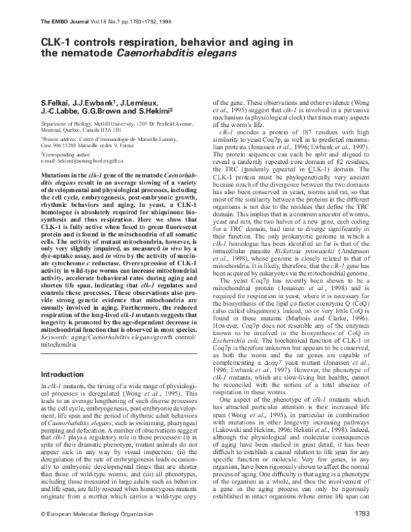 (PDF) CLK-1 controls respiration, behavior and aging in the nematode ...