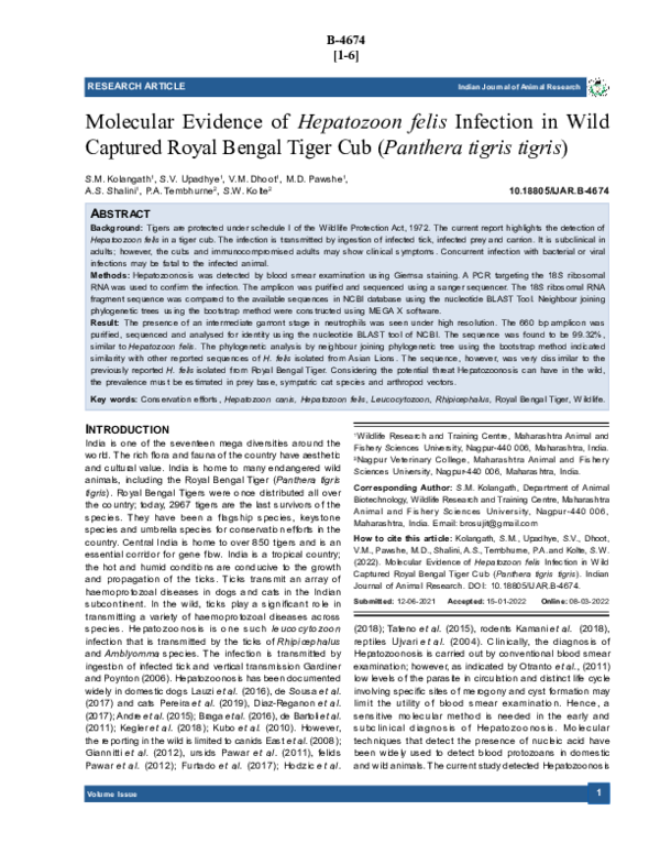 (PDF) First autochthonous case of clinical Hepatozoon felis infection ...