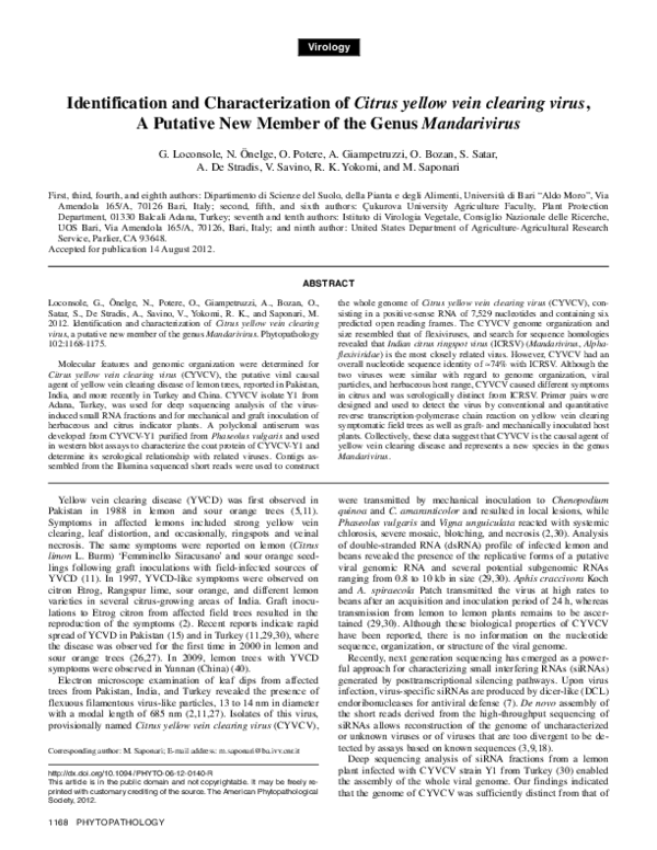 (PDF) Identification and Characterization of Citrus yellow vein ...