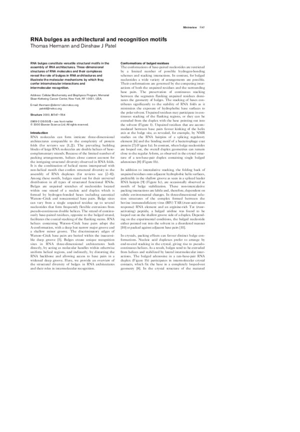 Pdf Rna Bulges As Architectural And Recognition Motifs Thomas