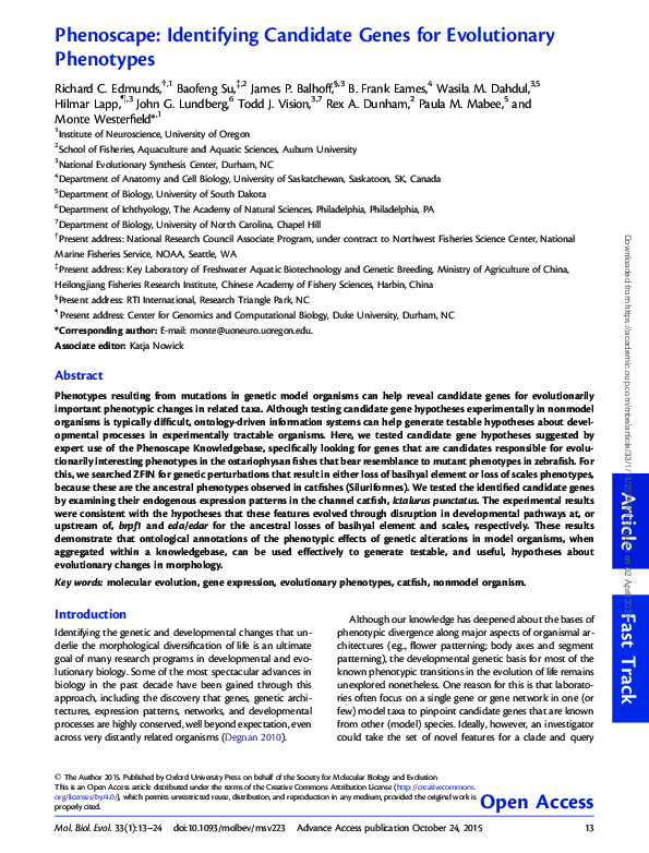 (PDF) Phenoscape: Identifying Candidate Genes for Evolutionary ...