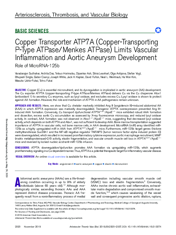 (PDF) Copper Transporter ATP7A (Copper-Transporting P-Type ATPase ...