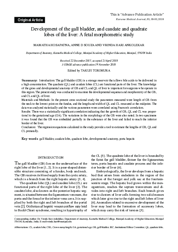 (PDF) Development of the gall bladder, and caudate and quadrate lobes ...