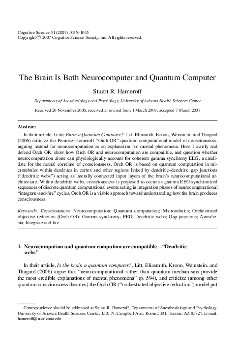 (PDF) The Brain Is Both Neurocomputer and Quantum Computer
