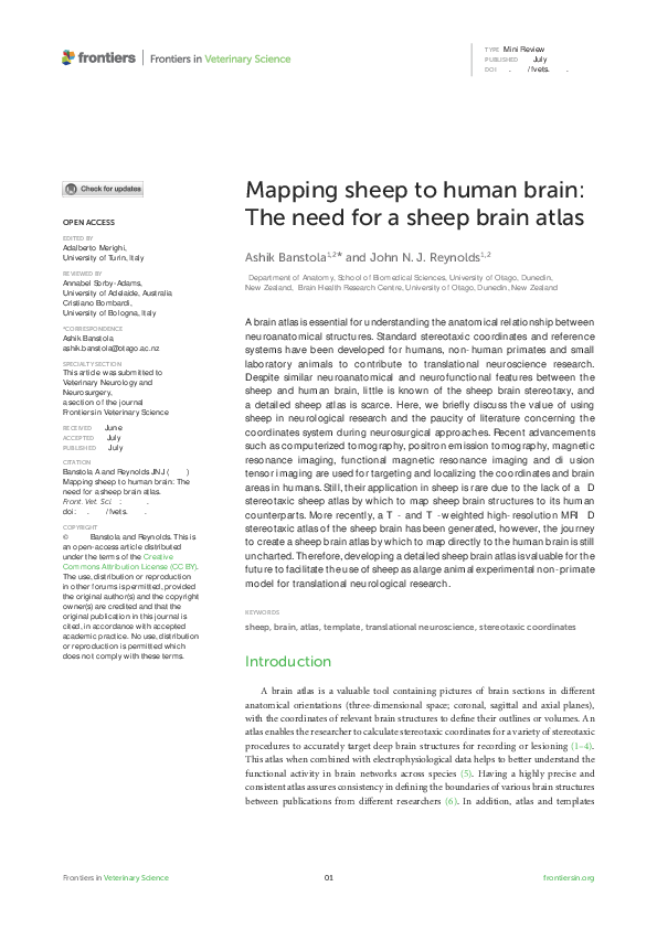 (PDF) Mapping sheep to human brain: The need for a sheep brain atlas