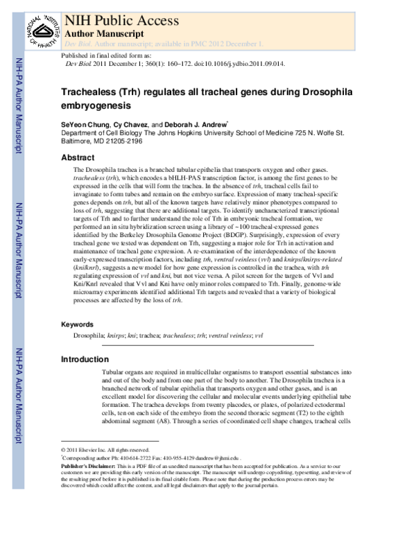 (PDF) Trachealess (Trh) regulates all tracheal genes during Drosophila ...