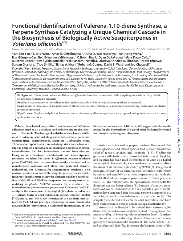 (PDF) Functional Identification of Valerena-1,10-diene Synthase, a ...