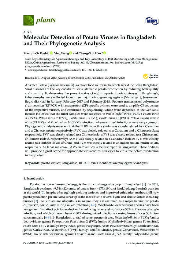 Pdf Molecular Detection Of Potato Viruses In Bangladesh And Their Phylogenetic Analysis