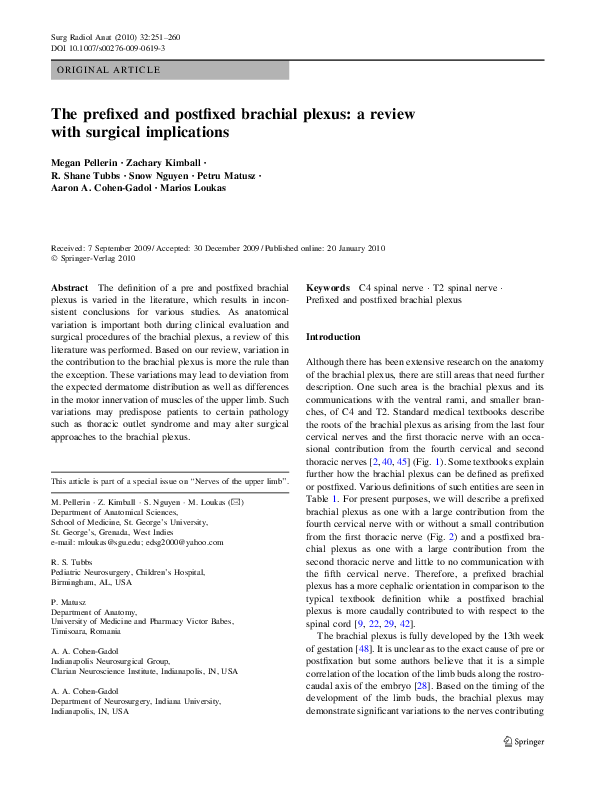 (PDF) The prefixed and postfixed brachial plexus: a review with ...