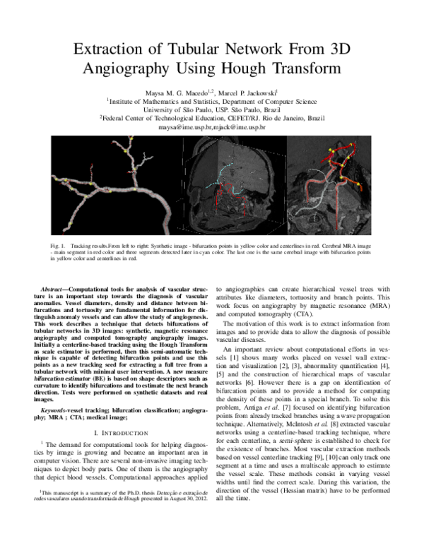 (PDF) Extraction of Tubular Network From 3D Angiography Using Hough Transform | Marcos Macedo ...