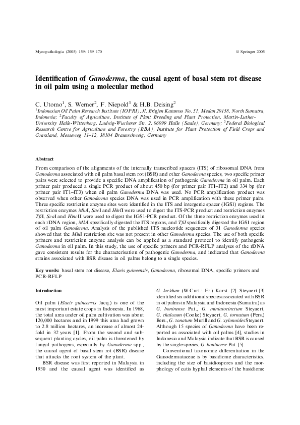 (PDF) Identification of Ganoderma, the causal agent of basal stem rot ...