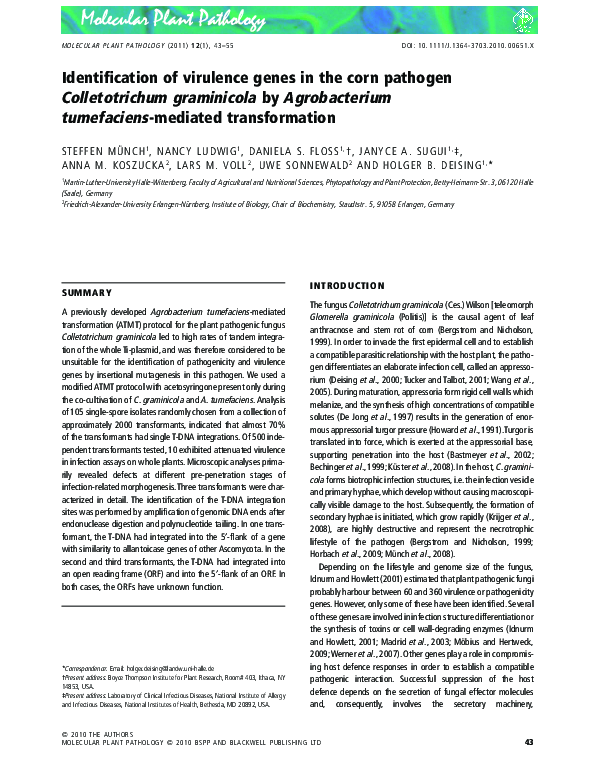 (PDF) Identification of virulence genes in the corn pathogen ...