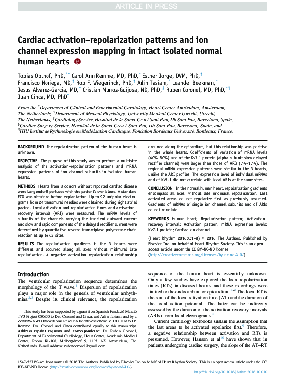 (PDF) Cardiac activation–repolarization patterns and ion channel ...