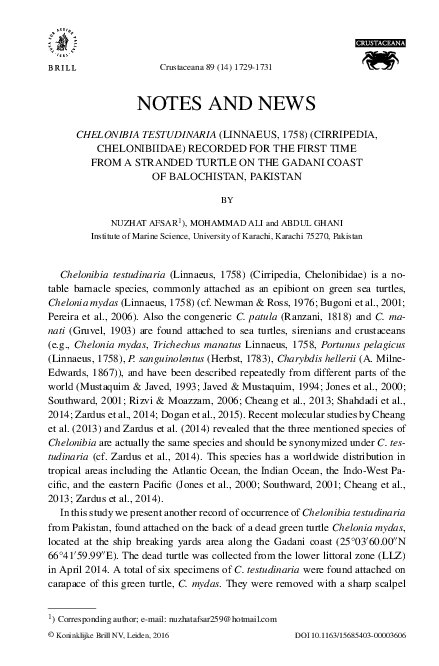 (PDF) Chelonibia testudinaria (Linnaeus, 1758) (Cirripedia ...