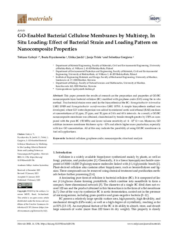 (PDF) GO-Enabled Bacterial Cellulose Membranes by Multistep, In Situ ...