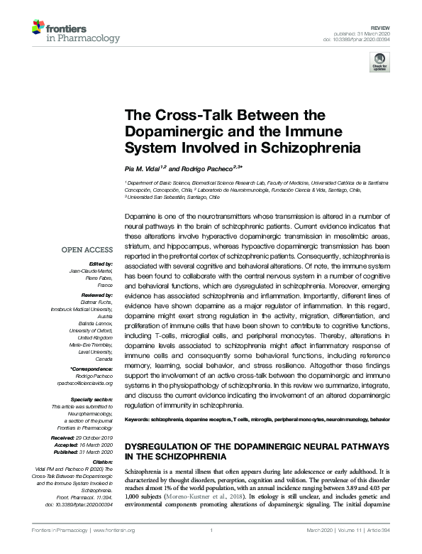 (PDF) The Cross-Talk Between the Dopaminergic and the Immune System Involved in Schizophrenia ...