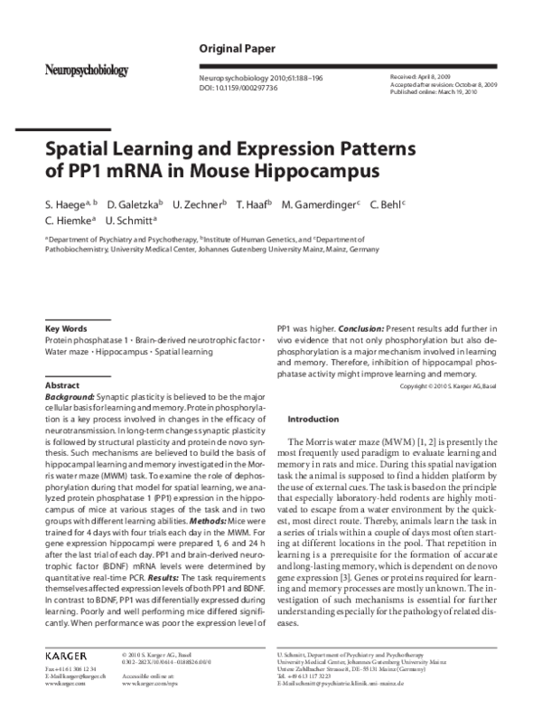 (PDF) Spatial Learning and Expression Patterns of PP1 mRNA in Mouse ...