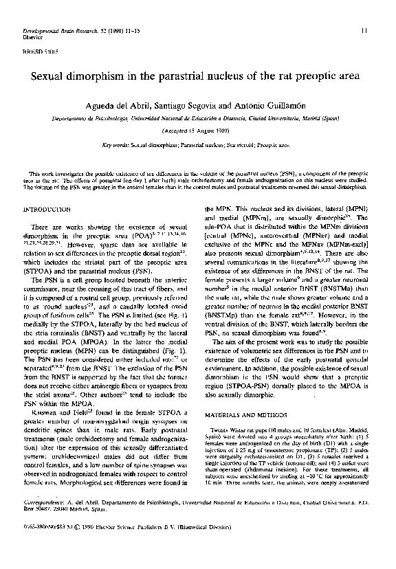 (PDF) Sexual dimorphism in the parastrial nucleus of the rat preoptic area