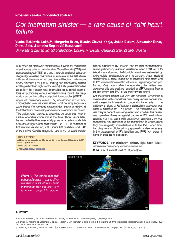 (PDF) Cor triatriatum sinister — a rare cause of right heart failure
