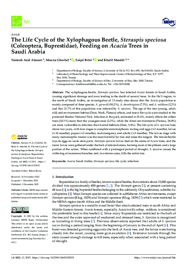 (PDF) The Life Cycle of the Xylophagous Beetle, Steraspis speciosa ...