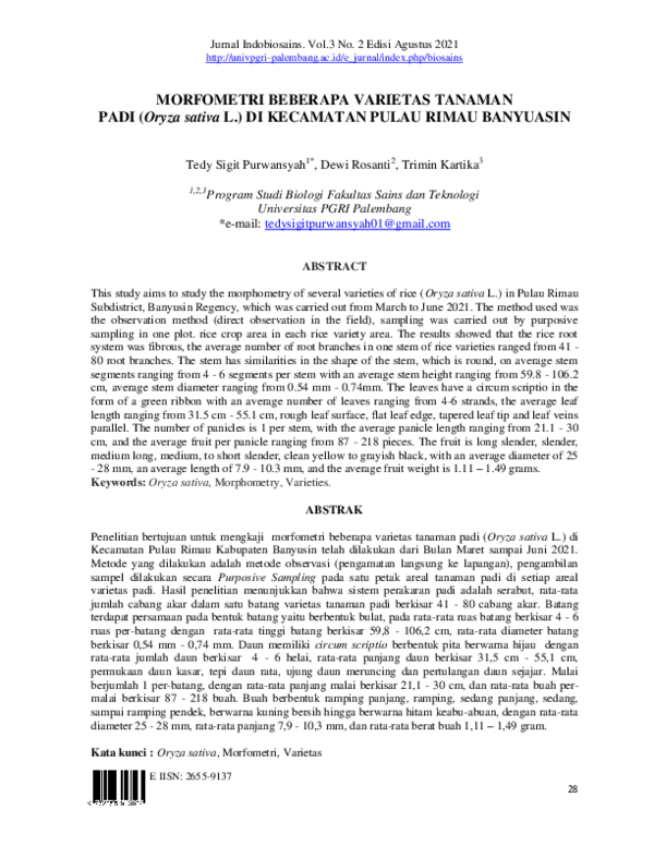 (PDF) Morfometri Beberapa Varietas Tanaman Padi (Oryza sativa L.) di ...