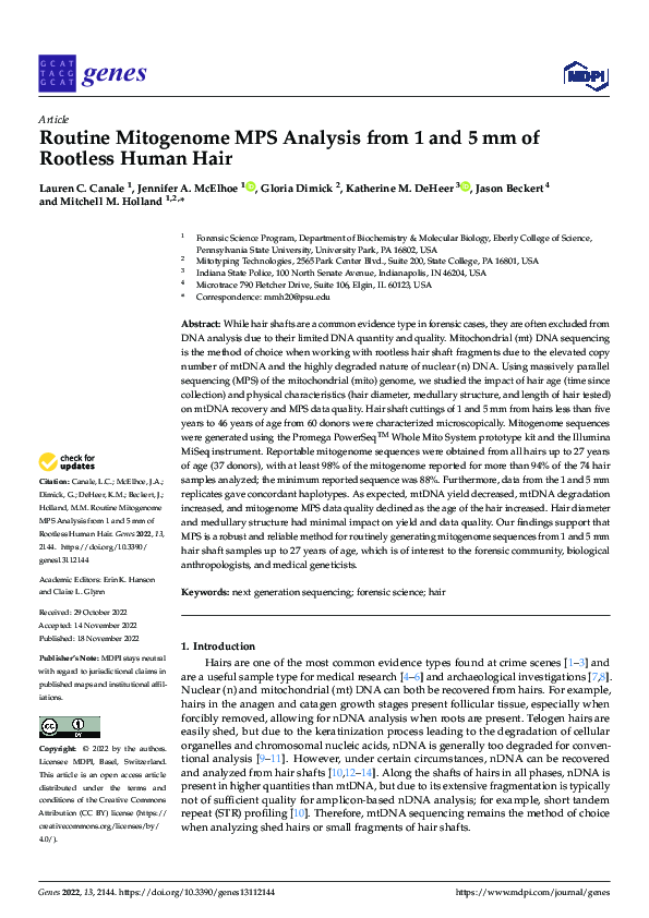 (PDF) Routine Mitogenome MPS Analysis from 1 and 5 mm of Rootless Human ...
