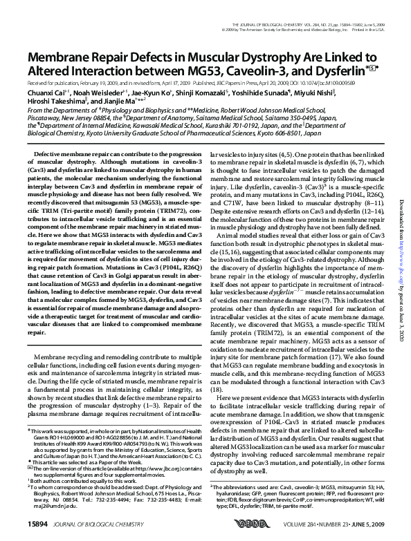 (PDF) Membrane Repair Defects in Muscular Dystrophy Are Linked to ...