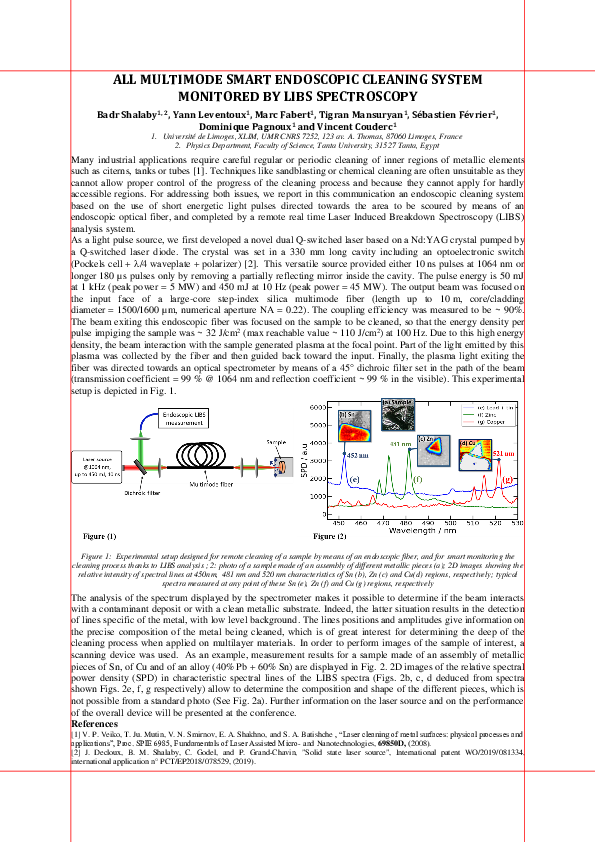 (PDF) All Multimode Smart Endoscopic Cleaning System Monitored by Libs ...