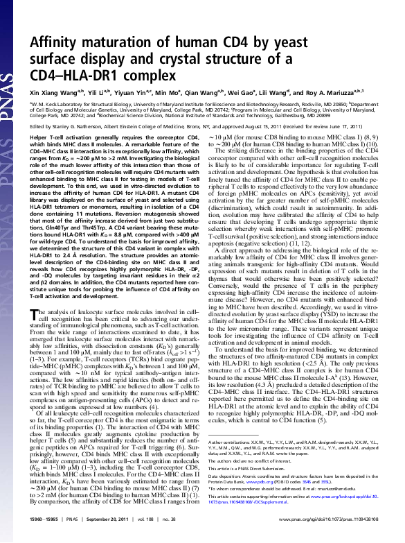 Pdf Affinity Maturation Of Human Cd4 By Yeast Surface Display And