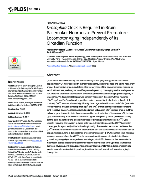 (PDF) Drosophila Clock Is Required in Brain Pacemaker Neurons to ...